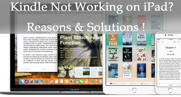 [Top 7] Fix Kindle App Not Working on iPad